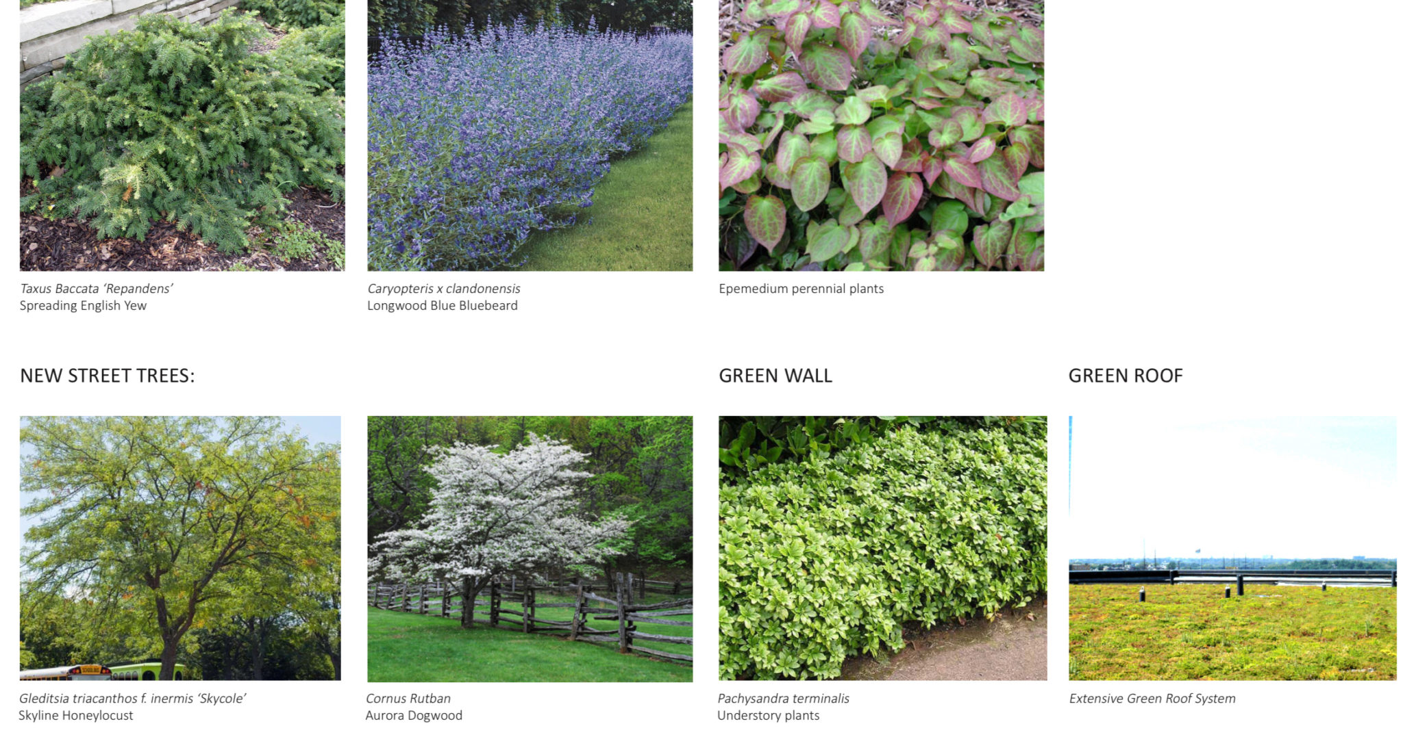 Renderings Revealed for 2024-32 North 22nd Street in Cecil B. Moore ...